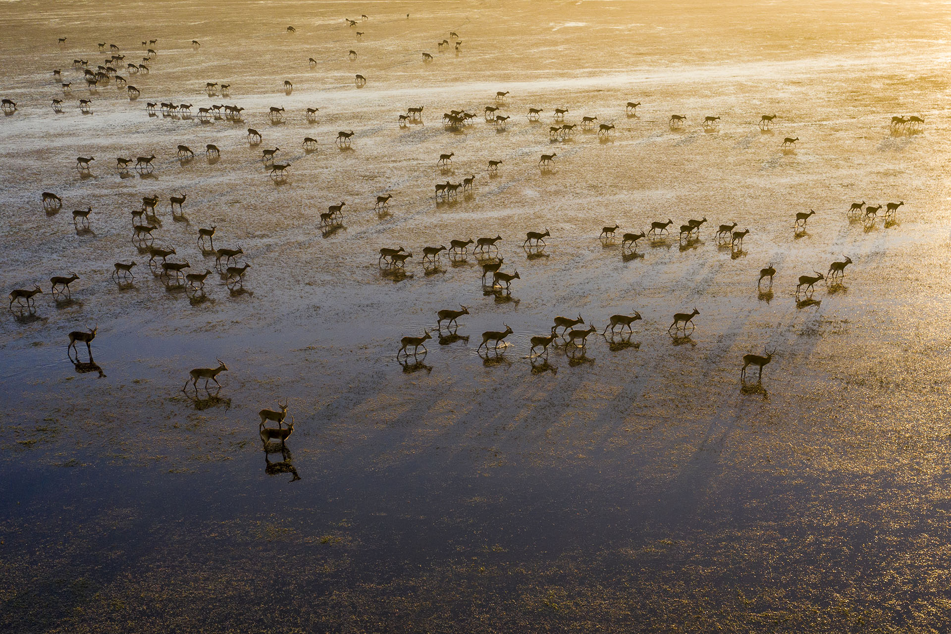 Beautiful Bangweulu | Safari Culture